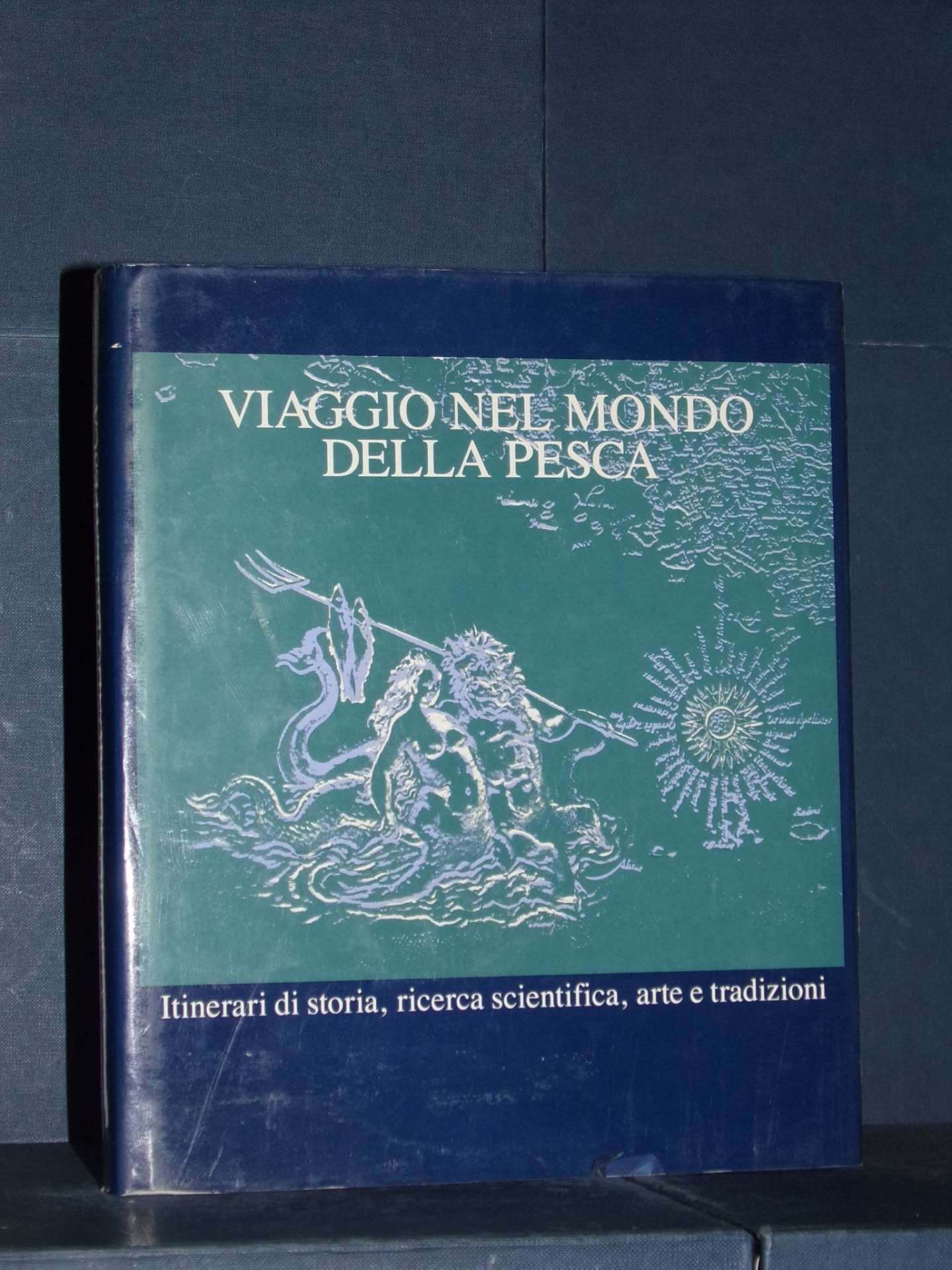 AAVV – Viaggio nel mondo della pesca. Itinerari di storia, ricerca ...