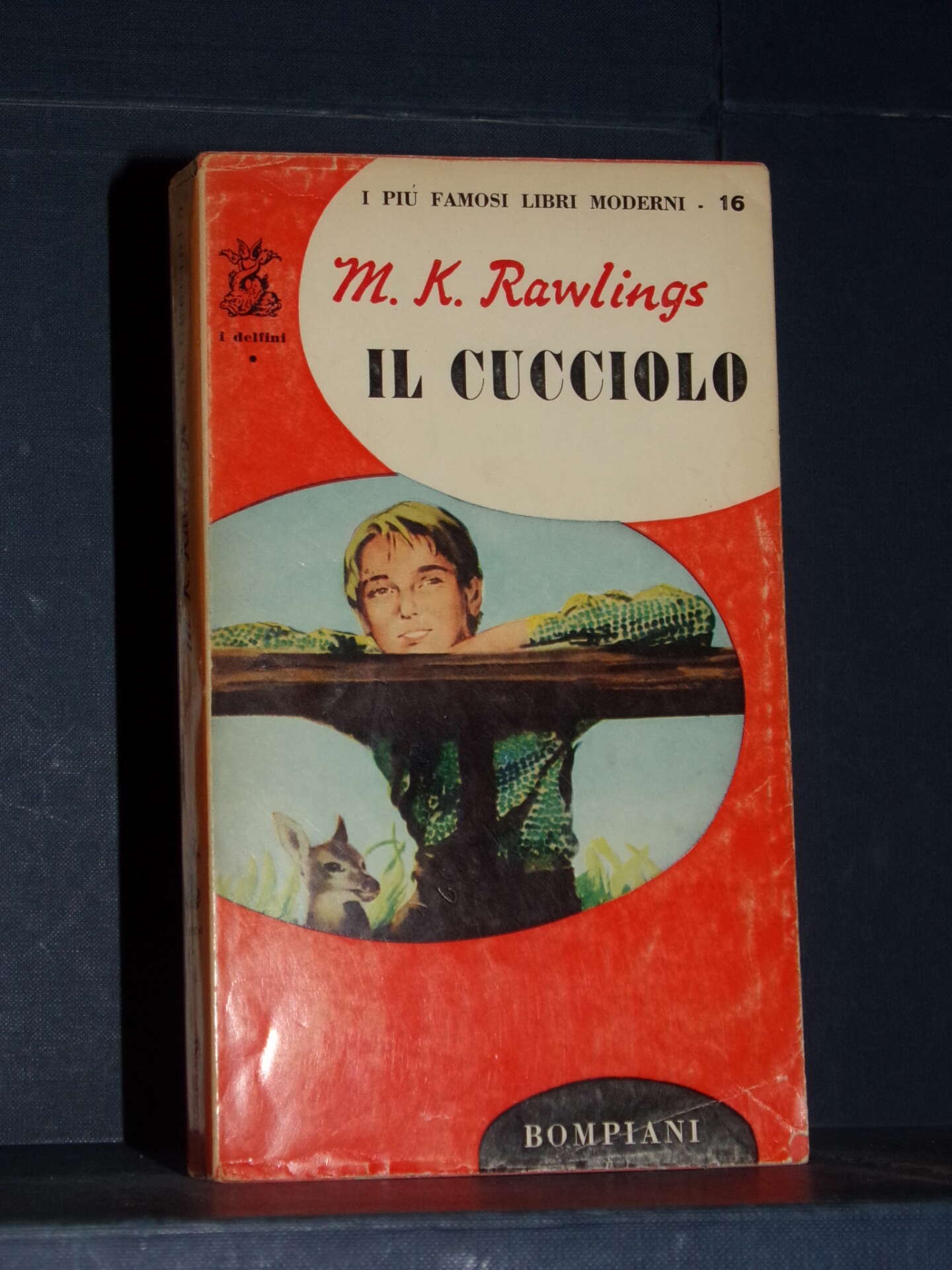 M.K. Rawlings – Il cucciolo – Bompiani / I delfini 16 – 1964 | Libreria ...
