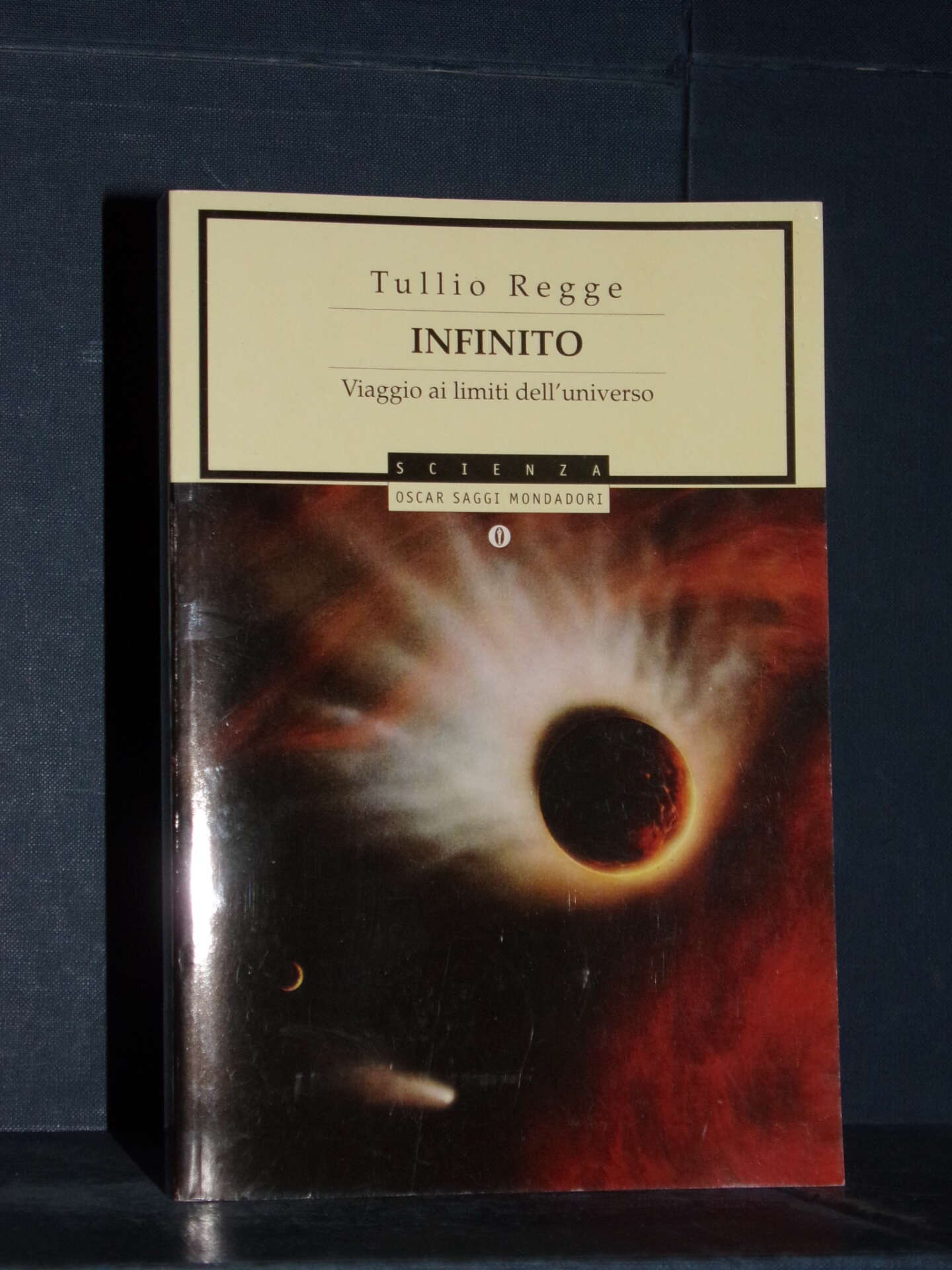 Tullio Regge – Infinito – Mondadori / Oscar Saggi 485 Scienza – 2002 ...